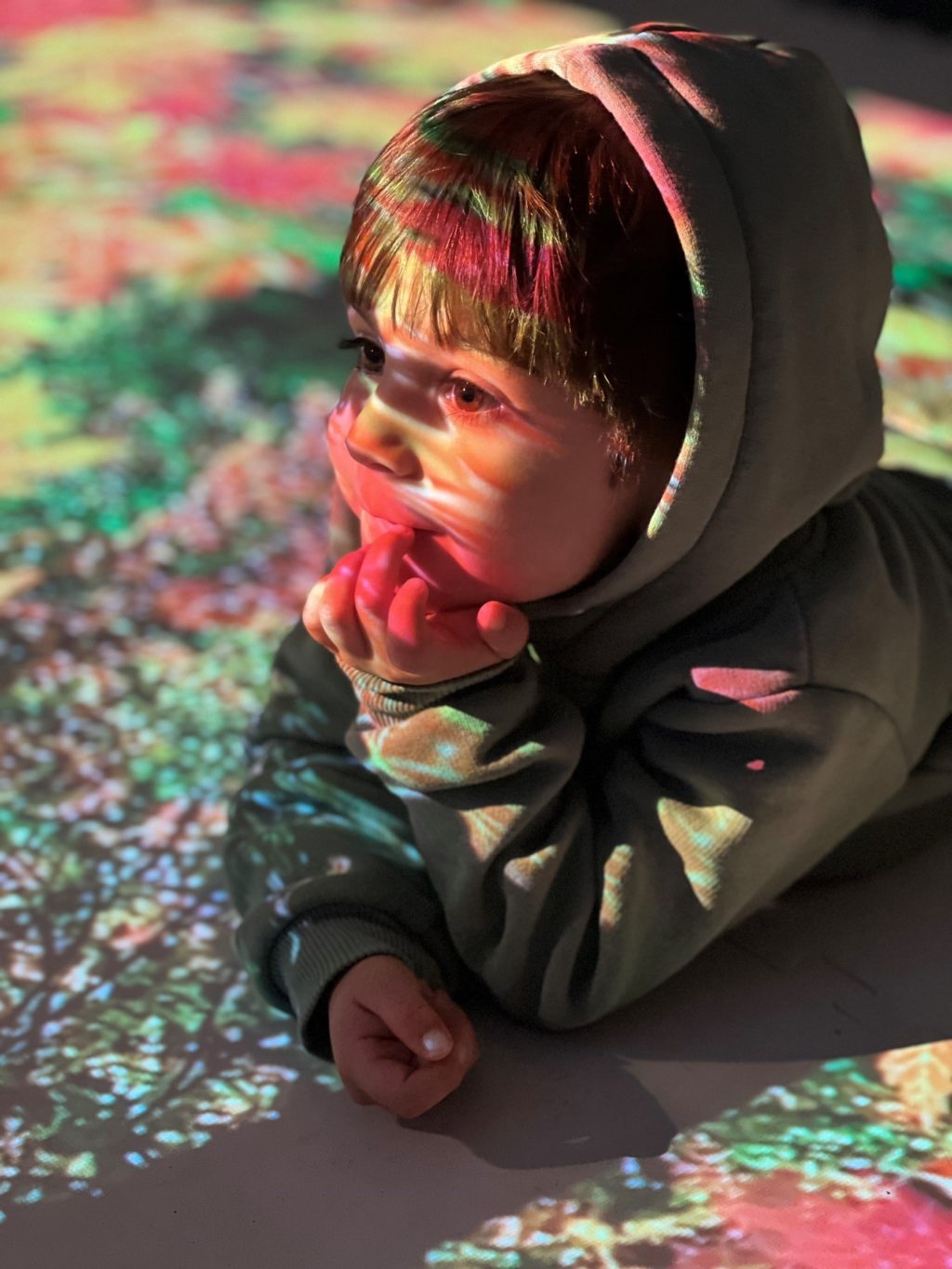 Merseyside Play Action Council